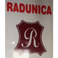 Servis RADUNICA - Split - In Croatia Eu